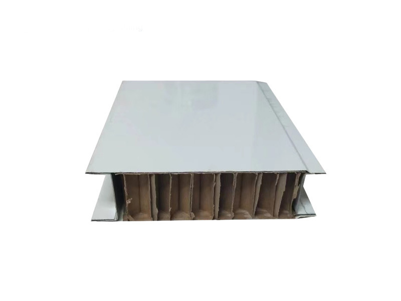 Paper Honeycomb Panel